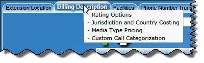 Billing Description Tab Overview